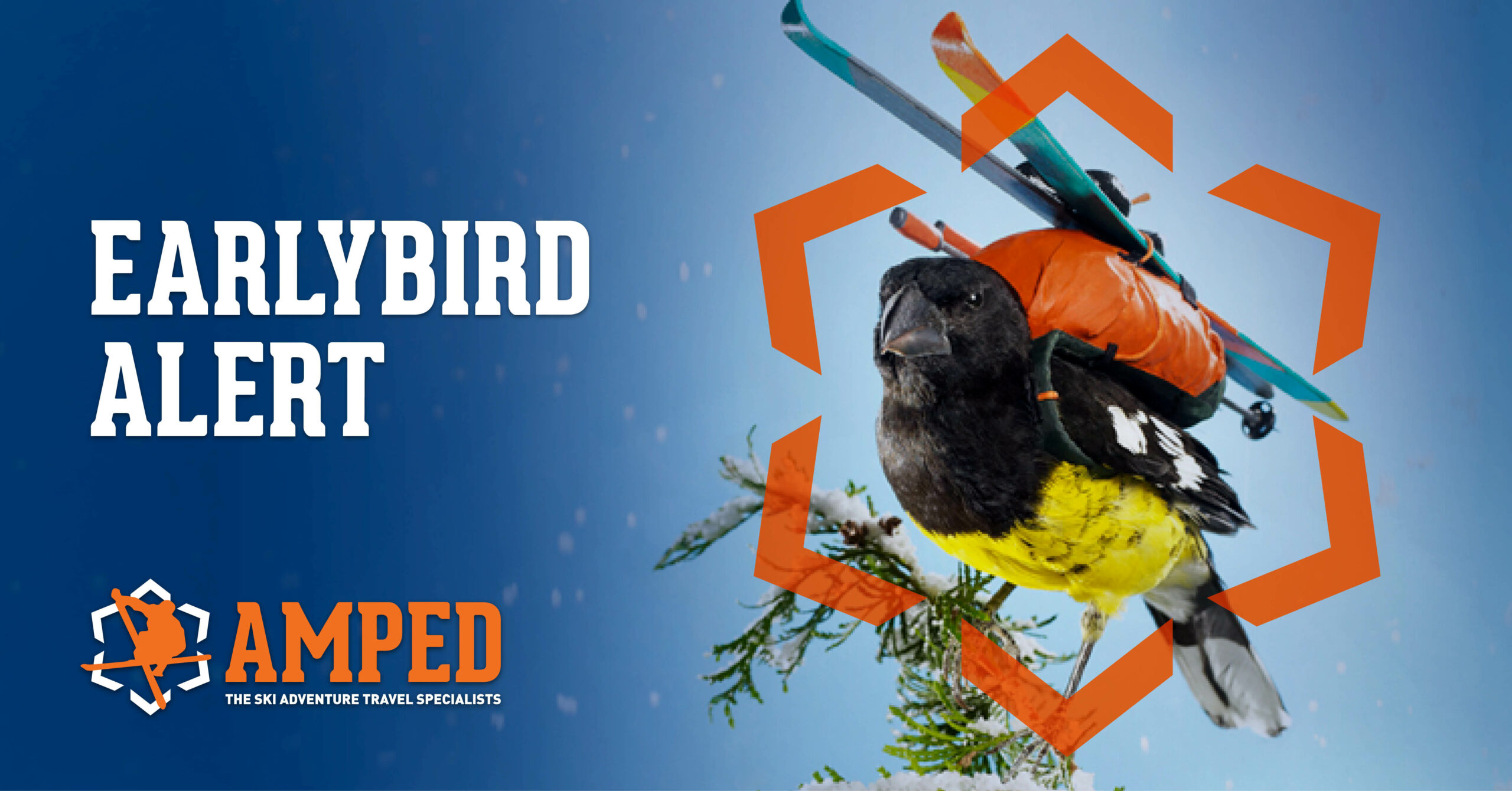 AMPED WKA Customer Engagement Agreement - AMPED - Ski & Snowboard ...